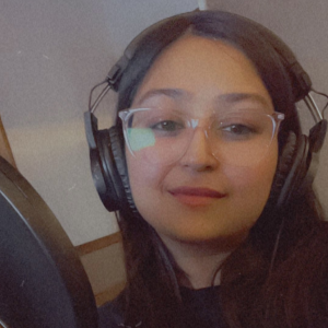 Animation Voice Over Services - Hire Animation Voice Actor/Artist - Voyzapp